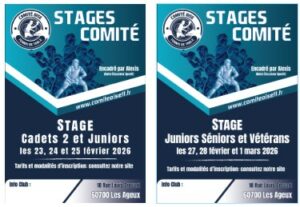 RAPPEL : Les inscriptions pour les stages Comité avec Alexis sont ouvertes